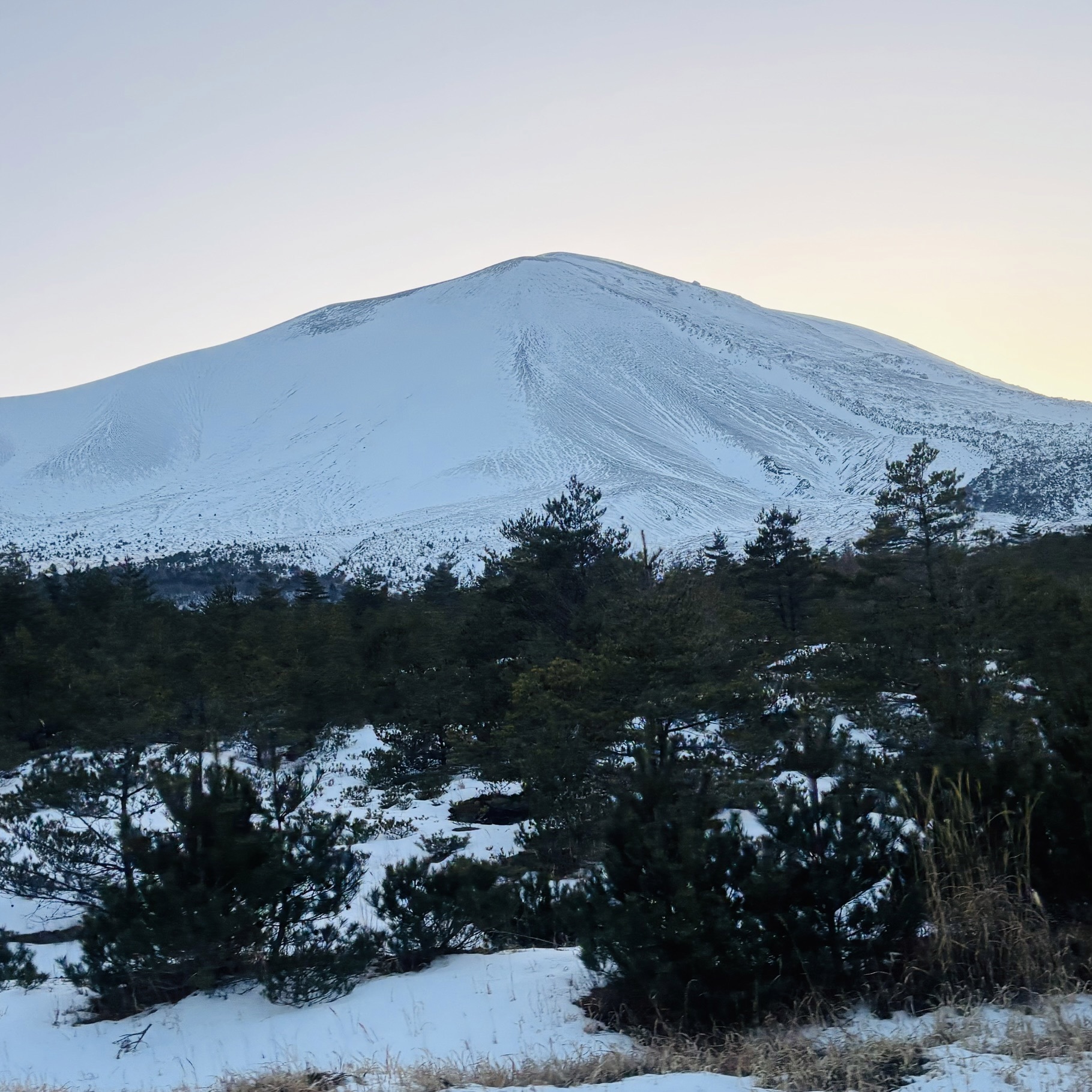 CKN様邸 DHS様邸 KWU様邸 RIW 剪定ゴミ片付けお知らせ詳細 | 株式会社島津庭苑 | 群馬・関東甲信越で造園・管理はお任せ下さい！
